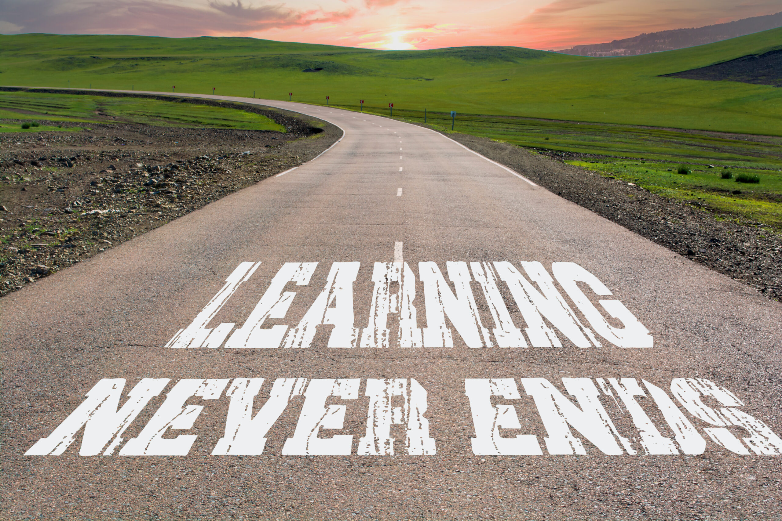 Figma and CSS website design - Alicia Olink